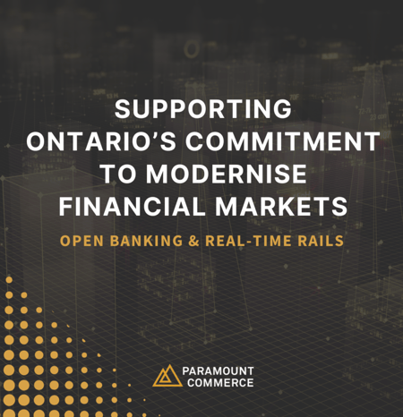 The Payment Insights Newsletter by Paramount Commerce